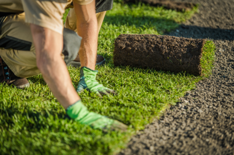From Grass Cutting to Tree Pruning: A Complete Landscape Maintenance ...